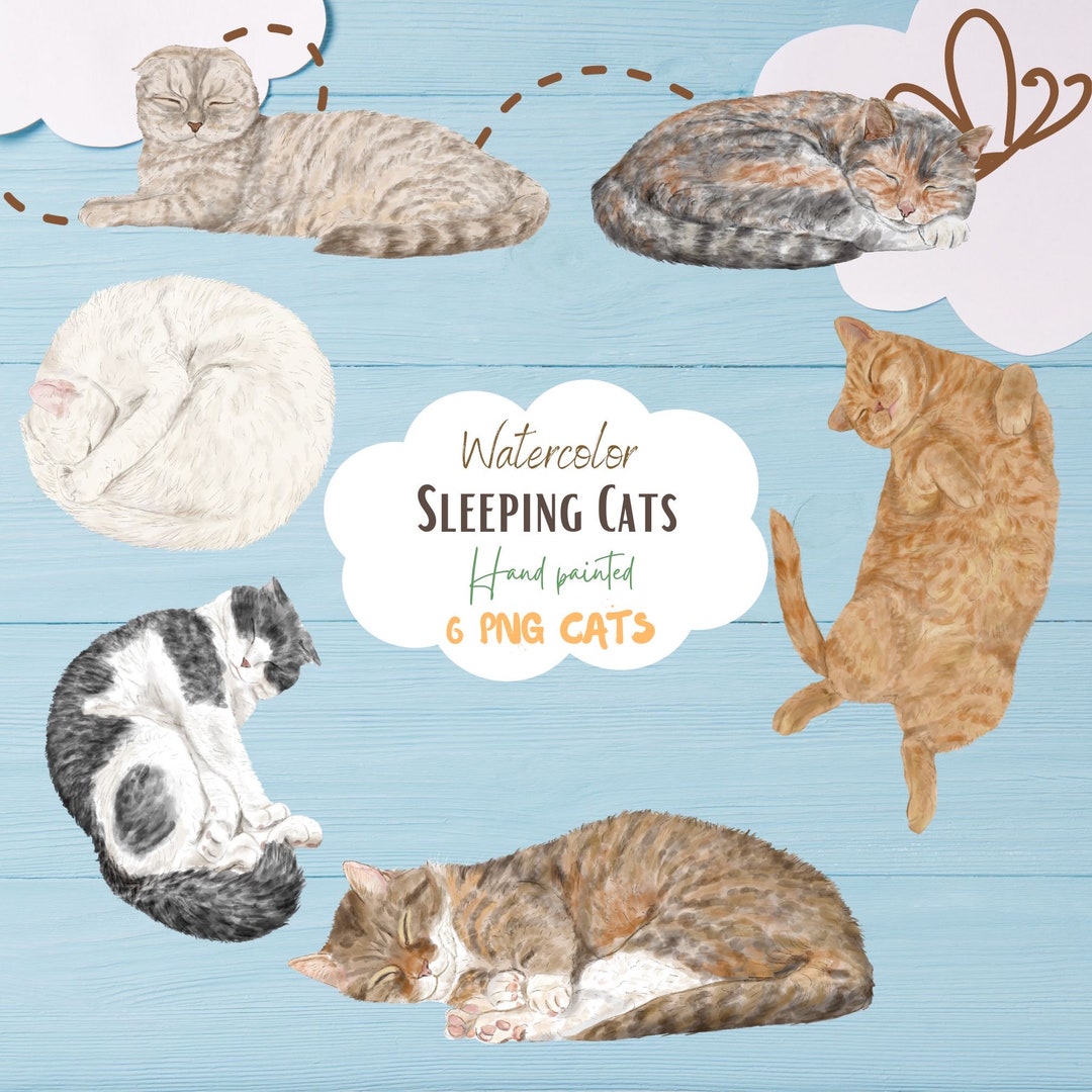 Watercolor Cat Clipart. Cute Hand-painted Cat Illustration. Download ...