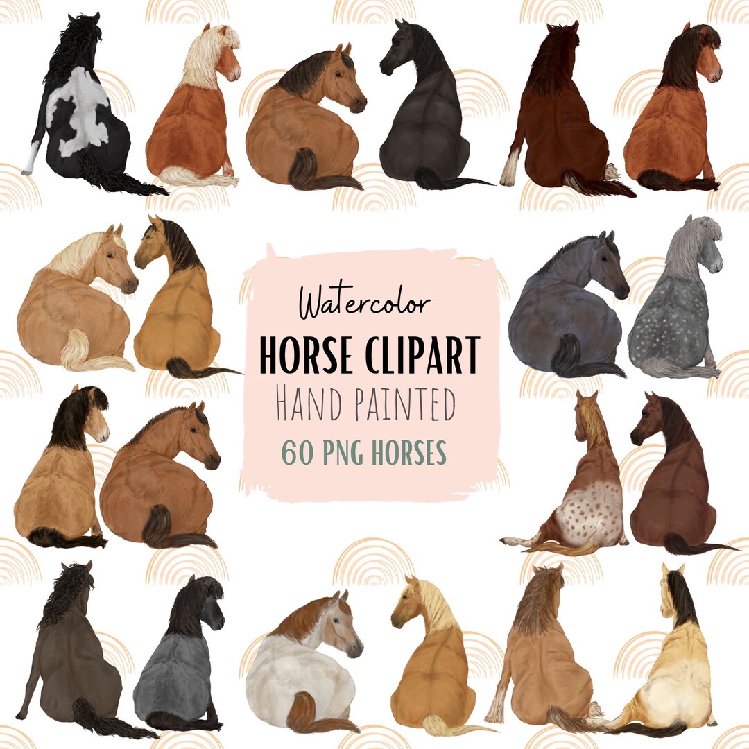 Watercolor HORSE CLIPART. Horse Breeds Bundle. Horse Portrait. - Etsy