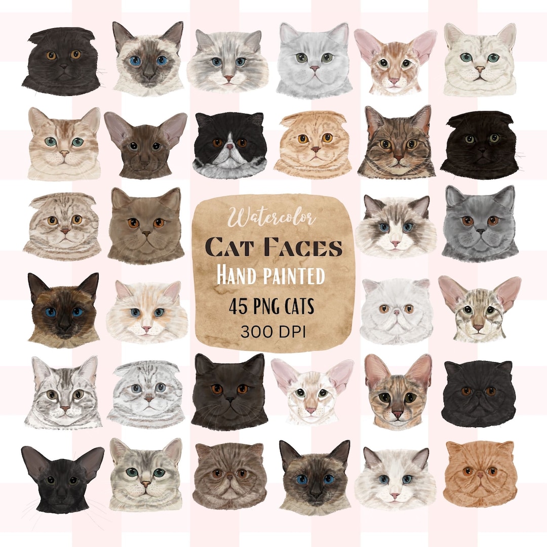 Watercolor Cat Clipart. Cat Sublimation. Cat Personalized Portrait ...