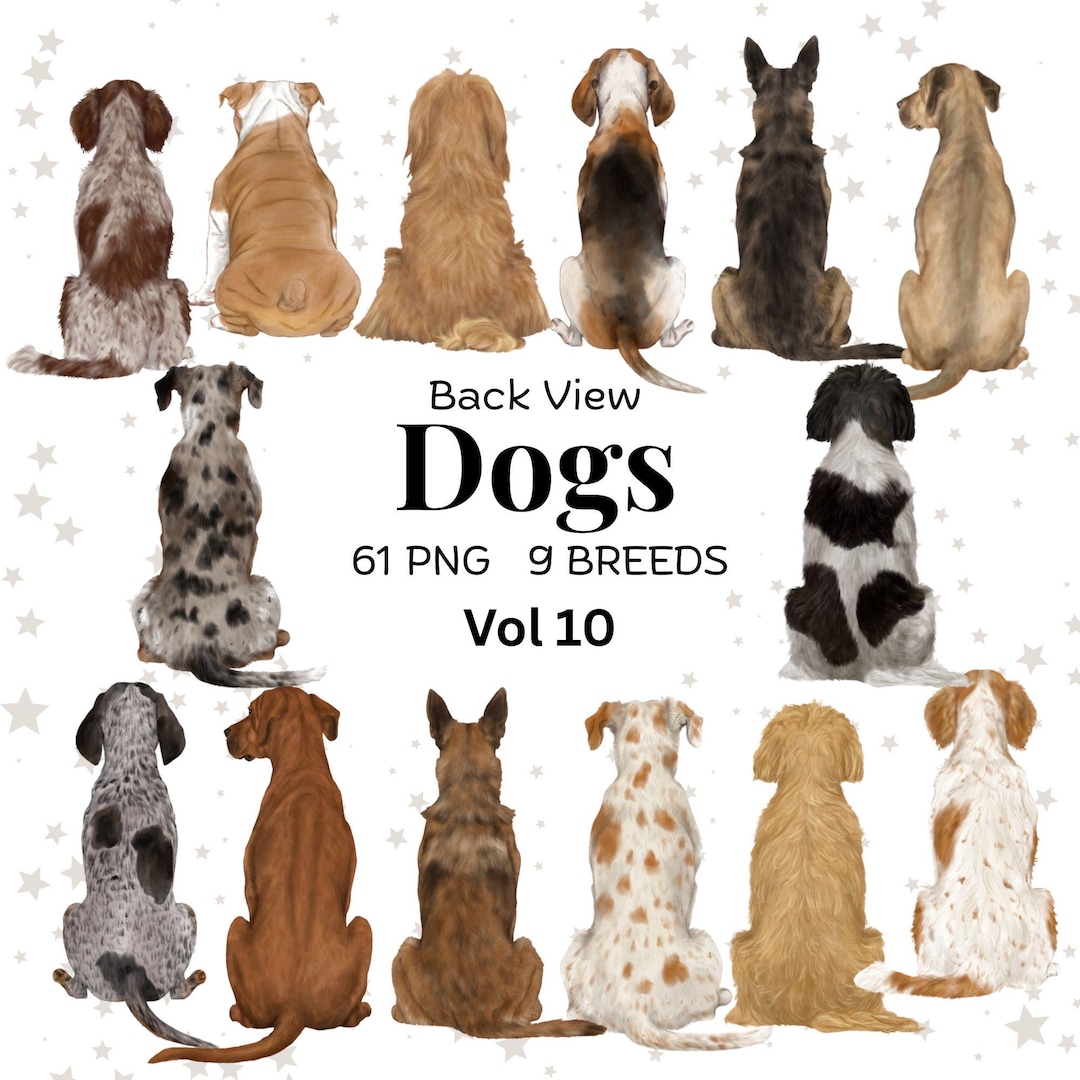 Dog Clipart From Back. Rear View Dog Png. Back of Dog Breeds. Mix Dog ...