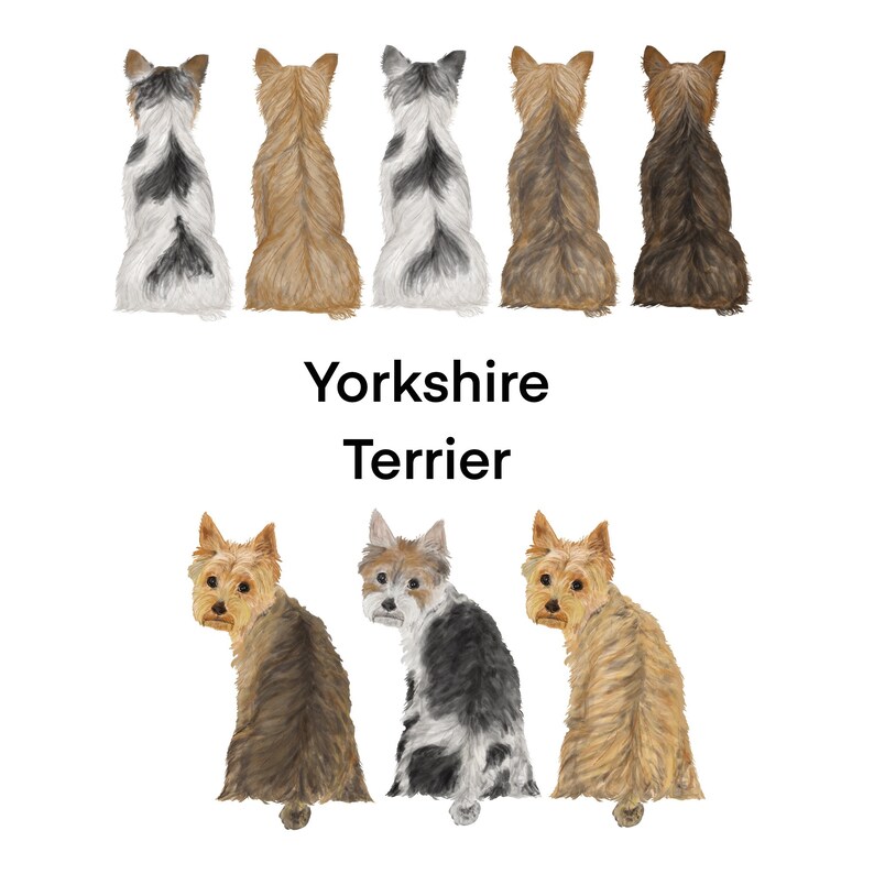 Rear Sitting Dog Clipart. Dog Breeds From Back View. Yorkie. Great Dane ...
