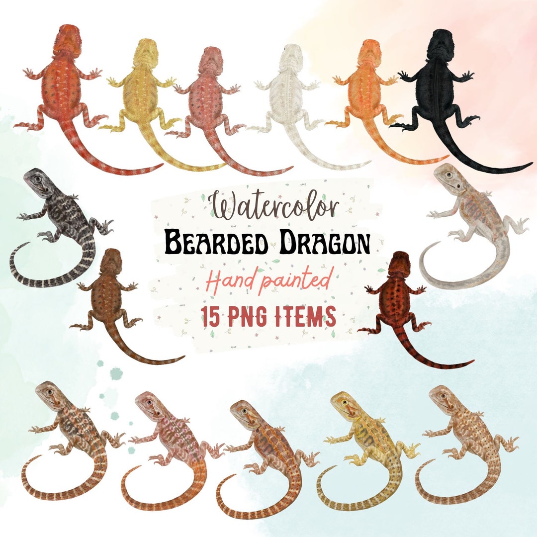 Watercolor Bearded Dragon Clipart. Lizard Illustrations, Pet Clipart ...