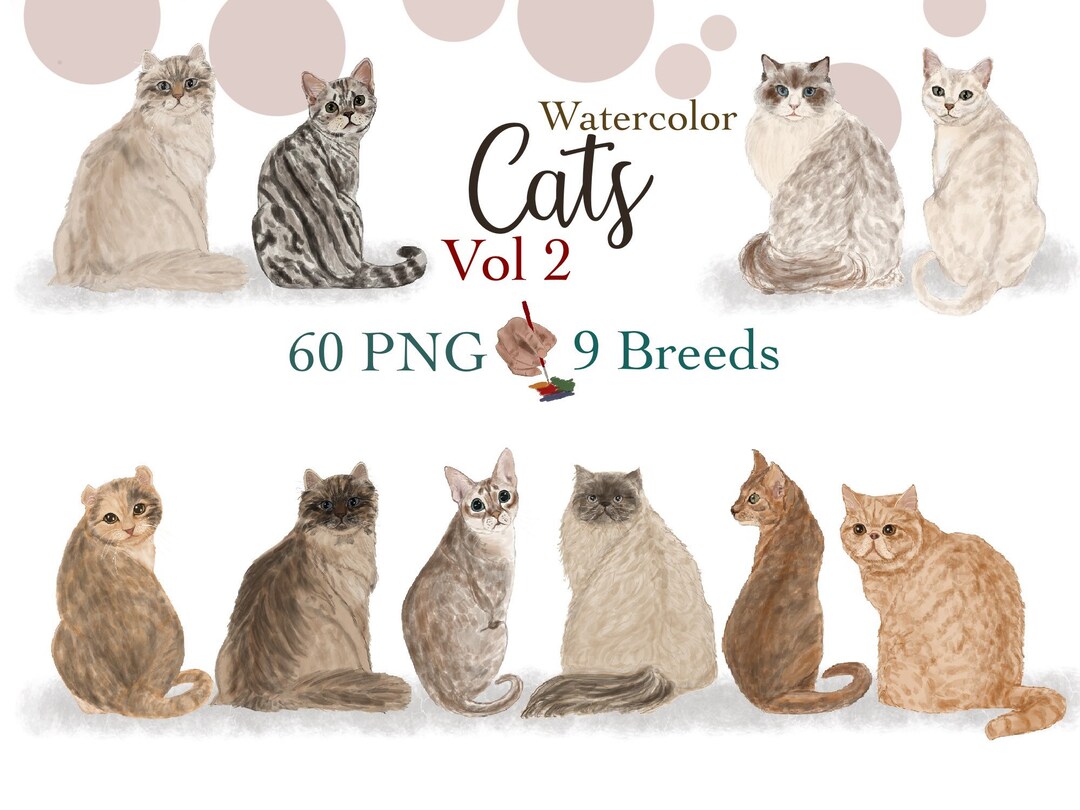 Watercolor CAT CLIPART. Customizable Cat Breeds. Sitting Back Cats. Cat ...
