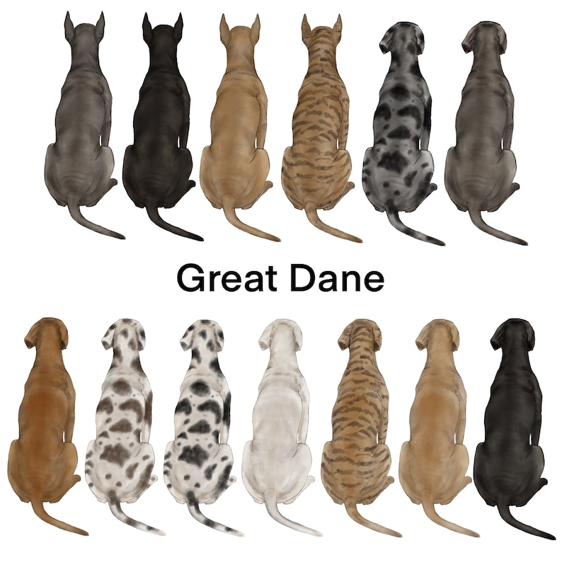 Watercolor DOG CLIPART. Dogs From Back View. Customizable Dog - Etsy