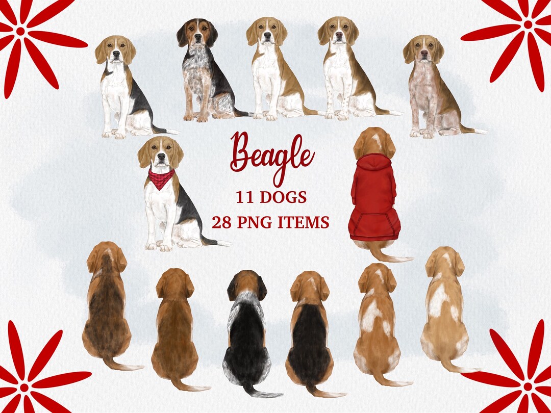 Watercolor Beagle Clipart. Customizable Dog Graphics. Beagle Lovers ...