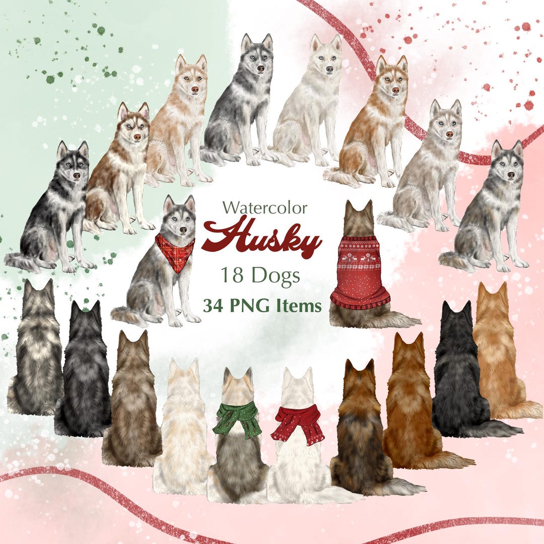 Watercolor Siberian Husky Clipart. Husky Portrait Png. Husky Lovers ...