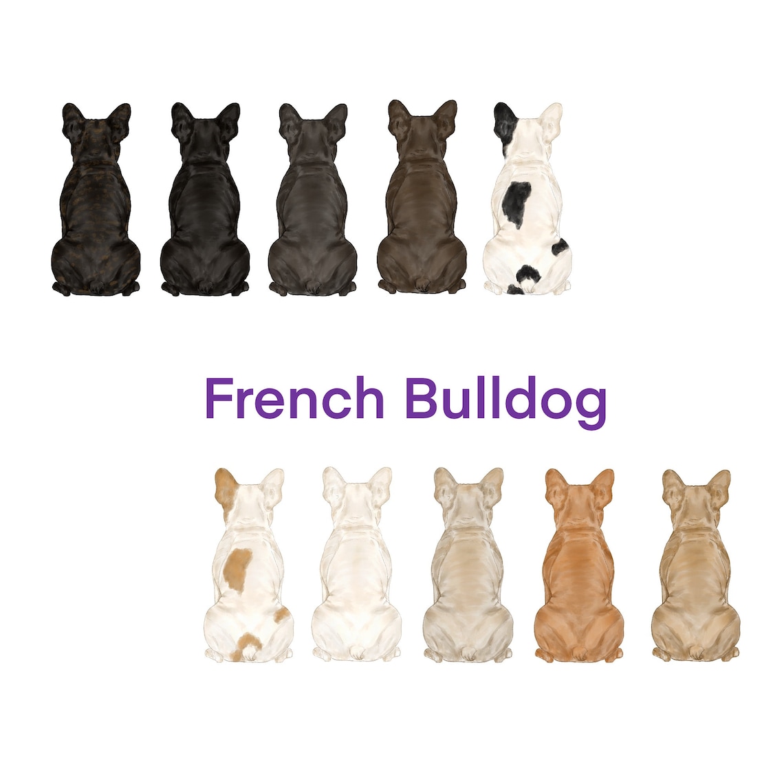 Watercolor DOG CLIPART, Back View of Dogs. Dog Breeds Bundle. Golden ...