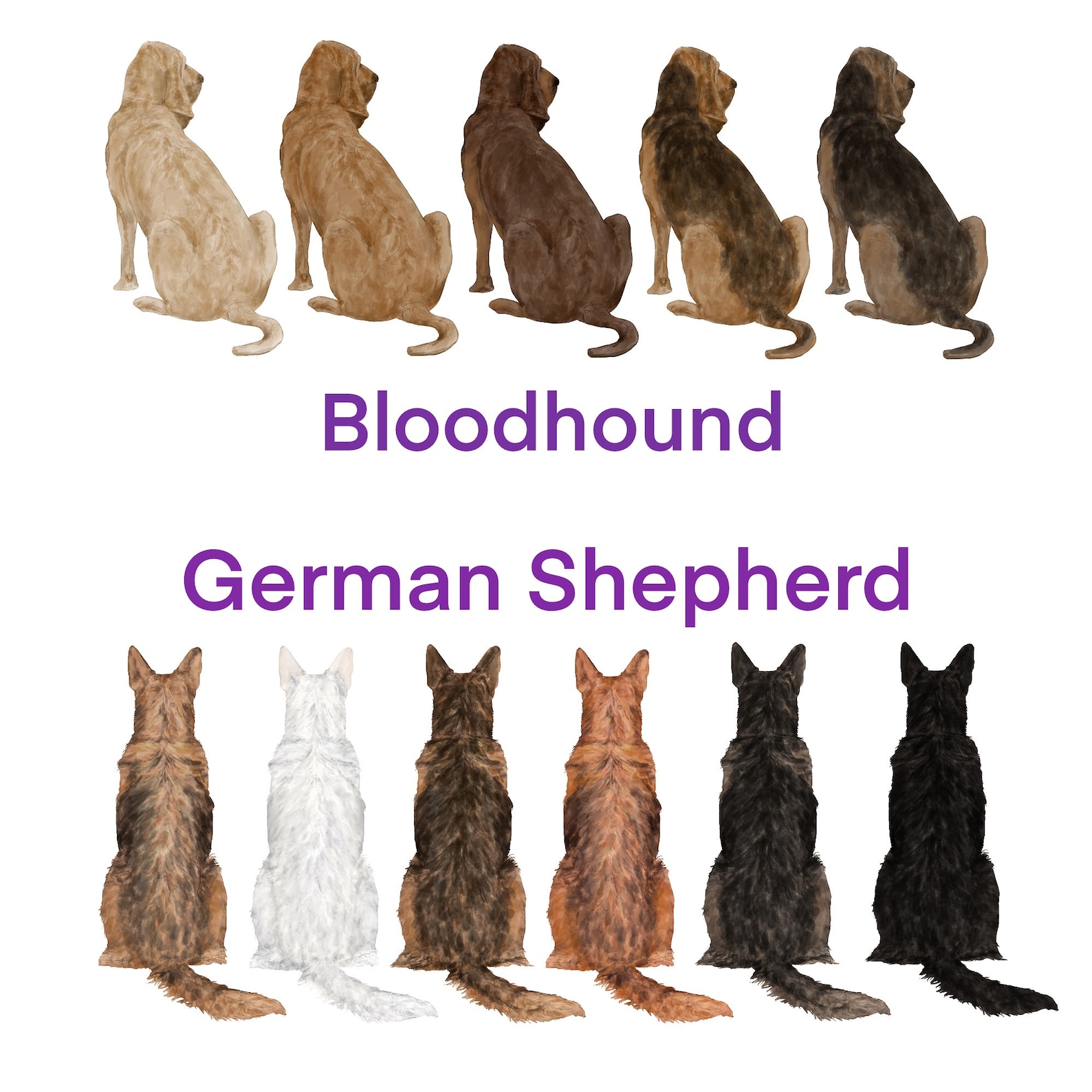 Watercolor DOG CLIPART, Back View of Dogs. Dog Breeds Bundle. Golden ...