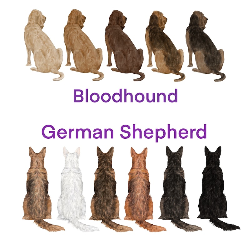 Watercolor DOG CLIPART, Back View of Dogs. Dog Breeds Bundle. Golden ...