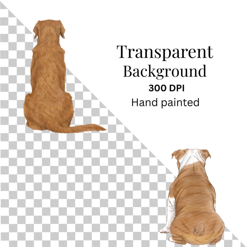 Dog Clipart From Back. Rear View Dog Png. Back of Dog Breeds. Mix Dog ...