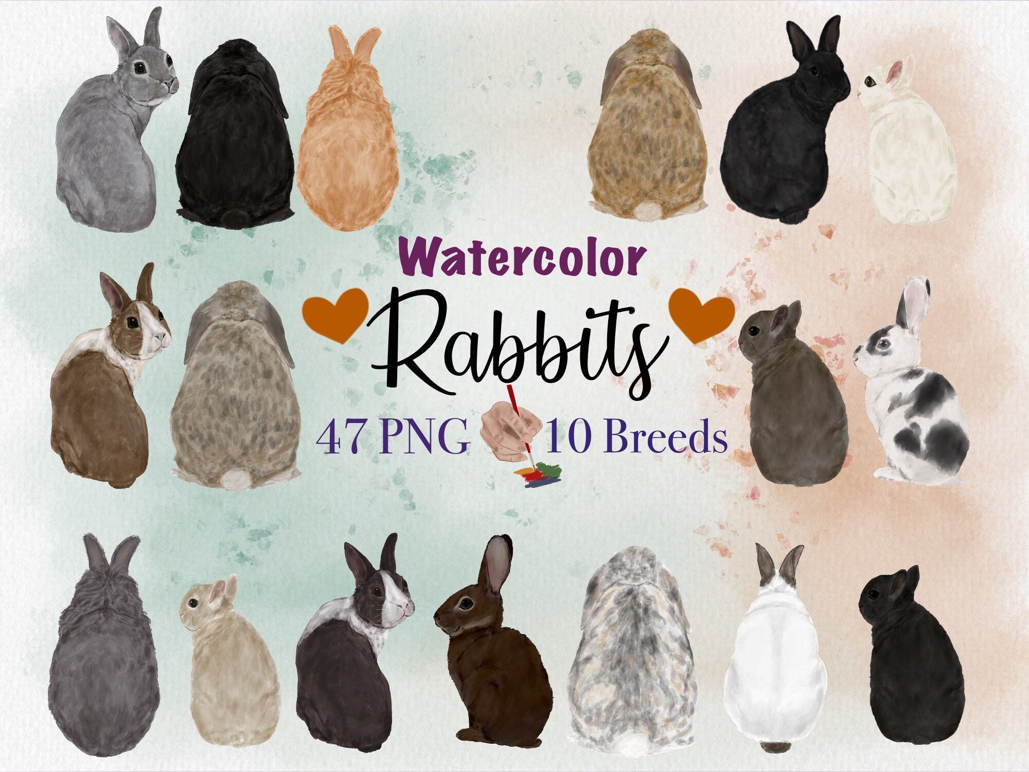 Watercolor Rabbit Breeds Clipart. Nursery Images. Animal - Etsy