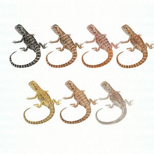 Watercolor Bearded Dragon Clipart. Lizard Png File, Pet Clipart ...
