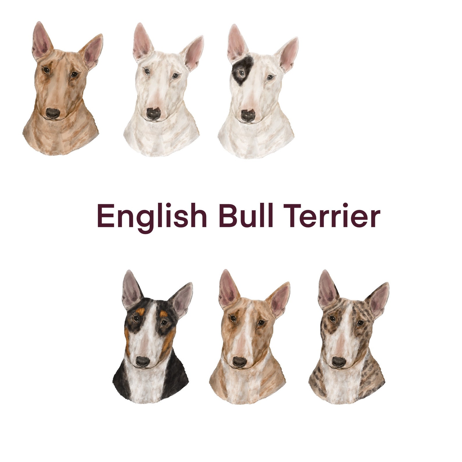 Watercolor Dog Clipart. Dog Personalized Portrait. Dog Breeds - Etsy