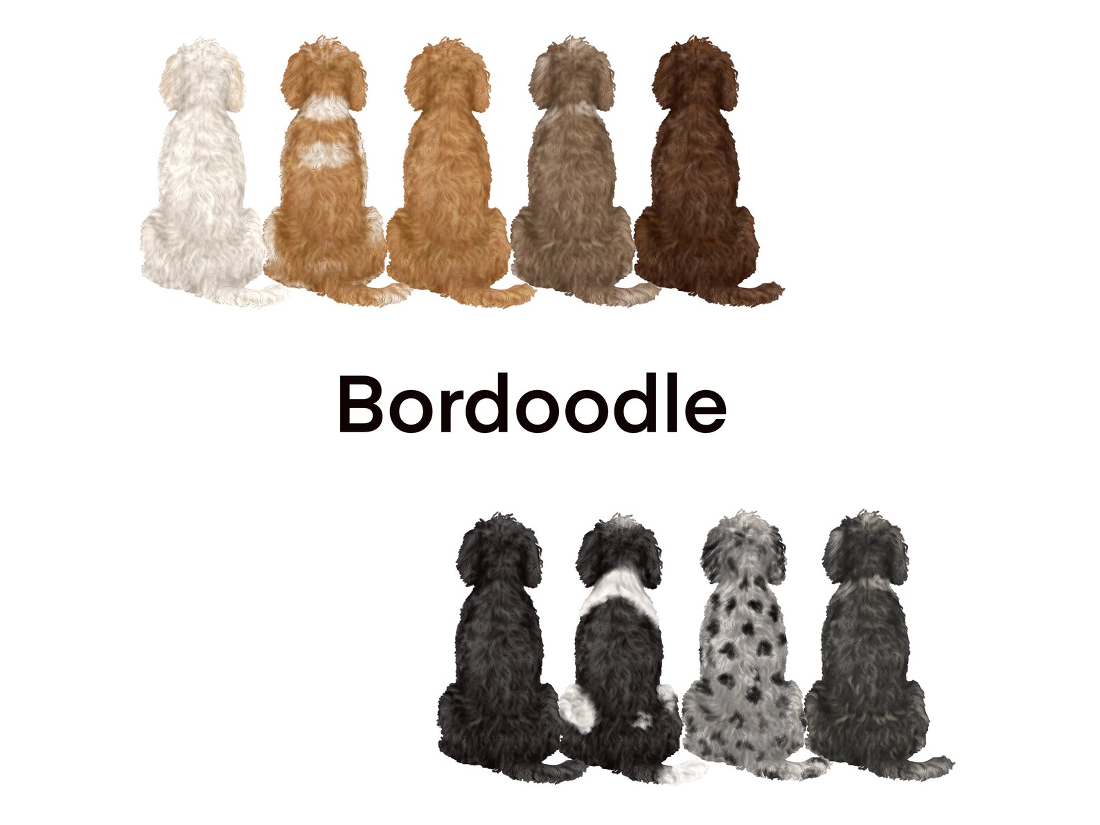 Back View Dog Clipart. Dogs From Behind Png. Dog Breeds Illustration ...