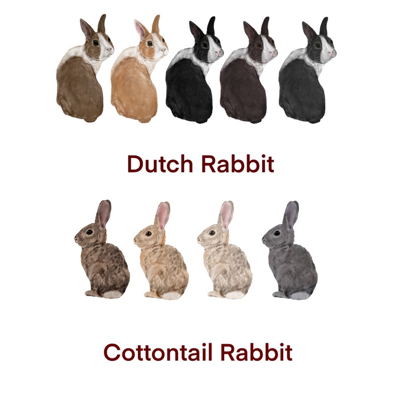 Watercolor Rabbit Breeds Clipart. Nursery Images. Animal - Etsy