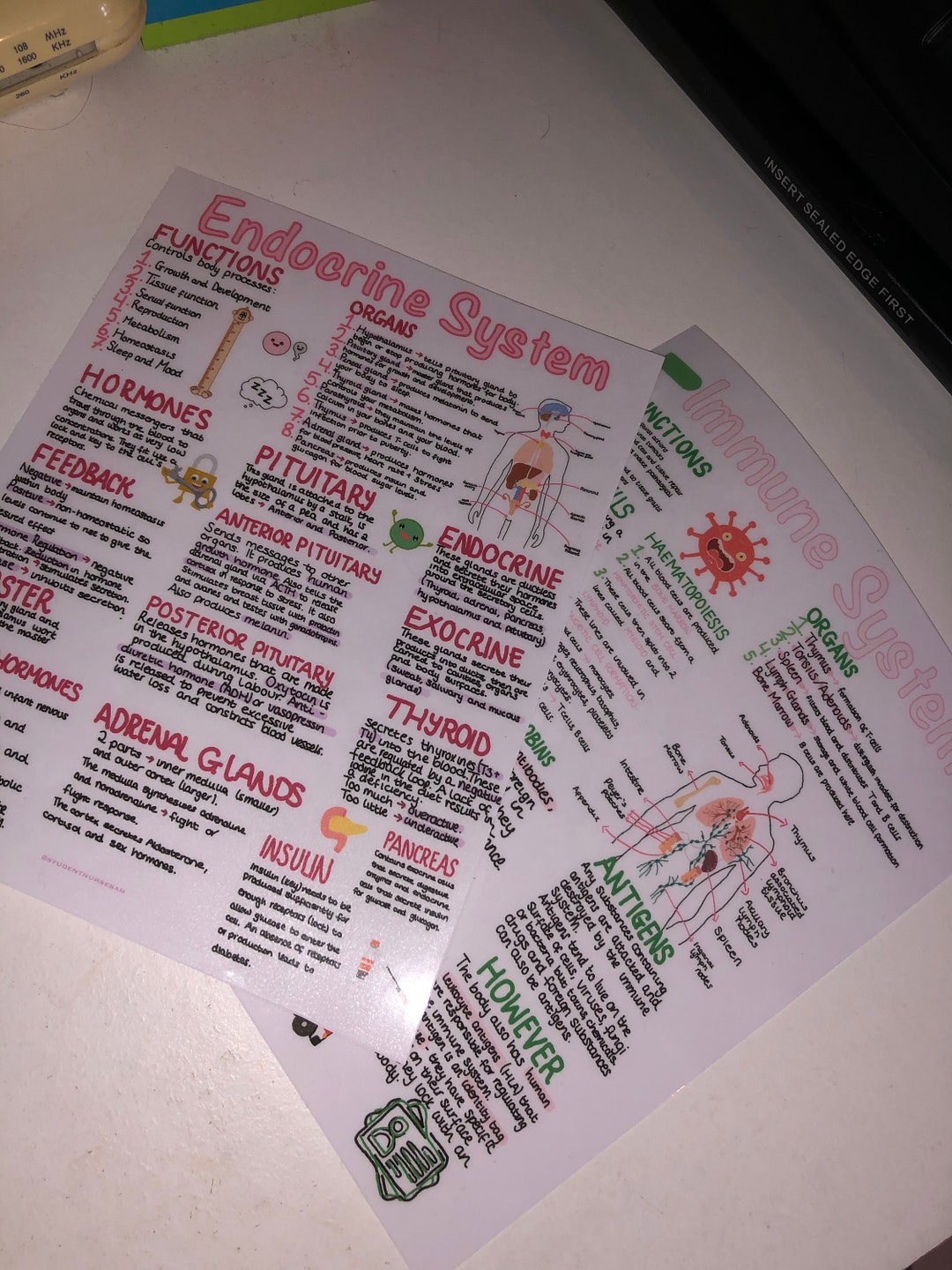 Endocrine System Revision Poster - Etsy