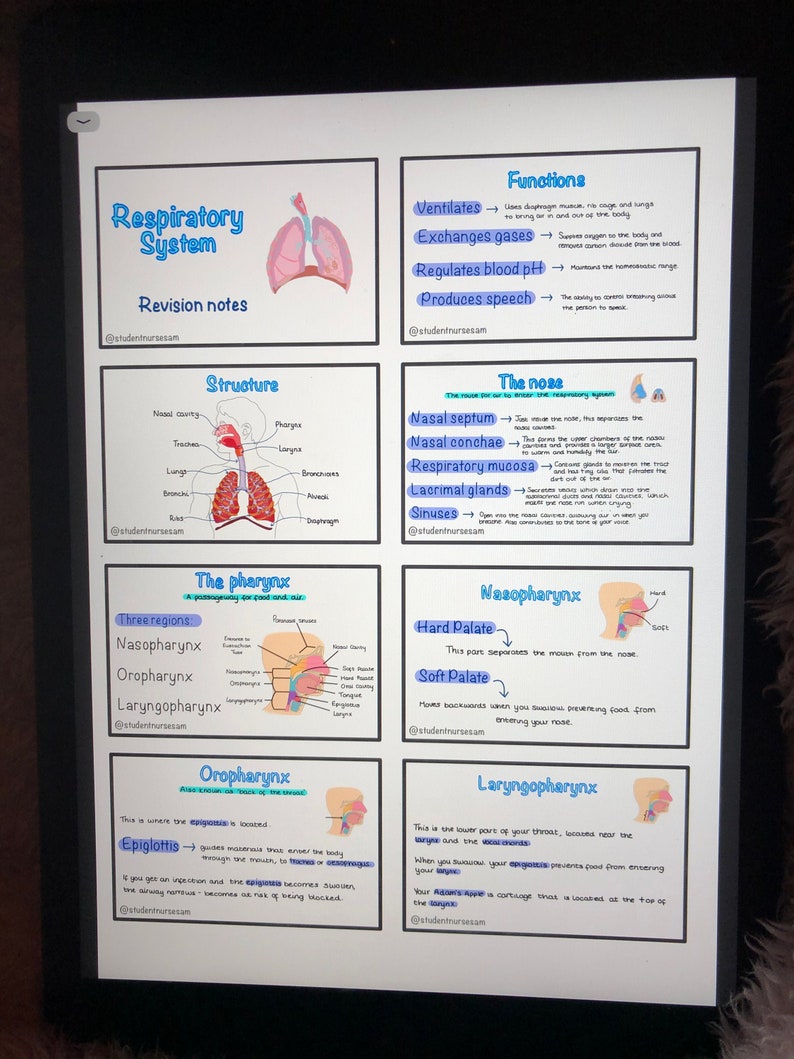 Respiratory System Flashcards [digital Copy] - Etsy