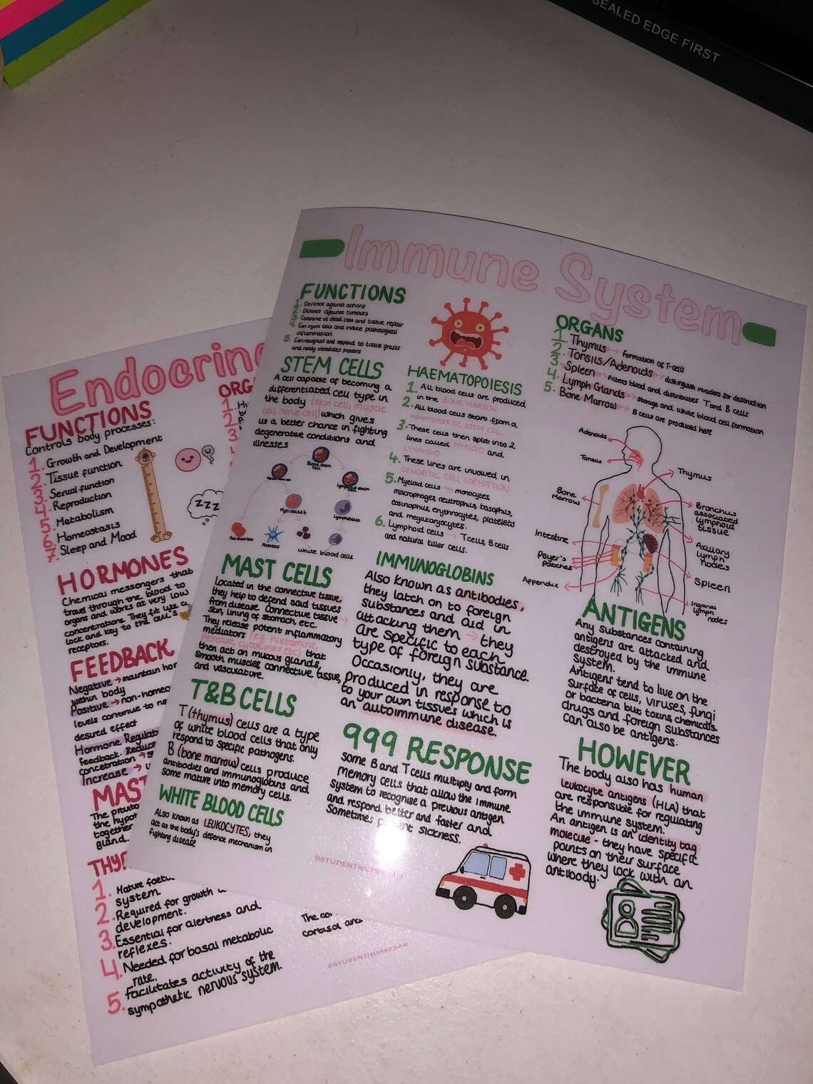 Immune System Revision Poster - Etsy