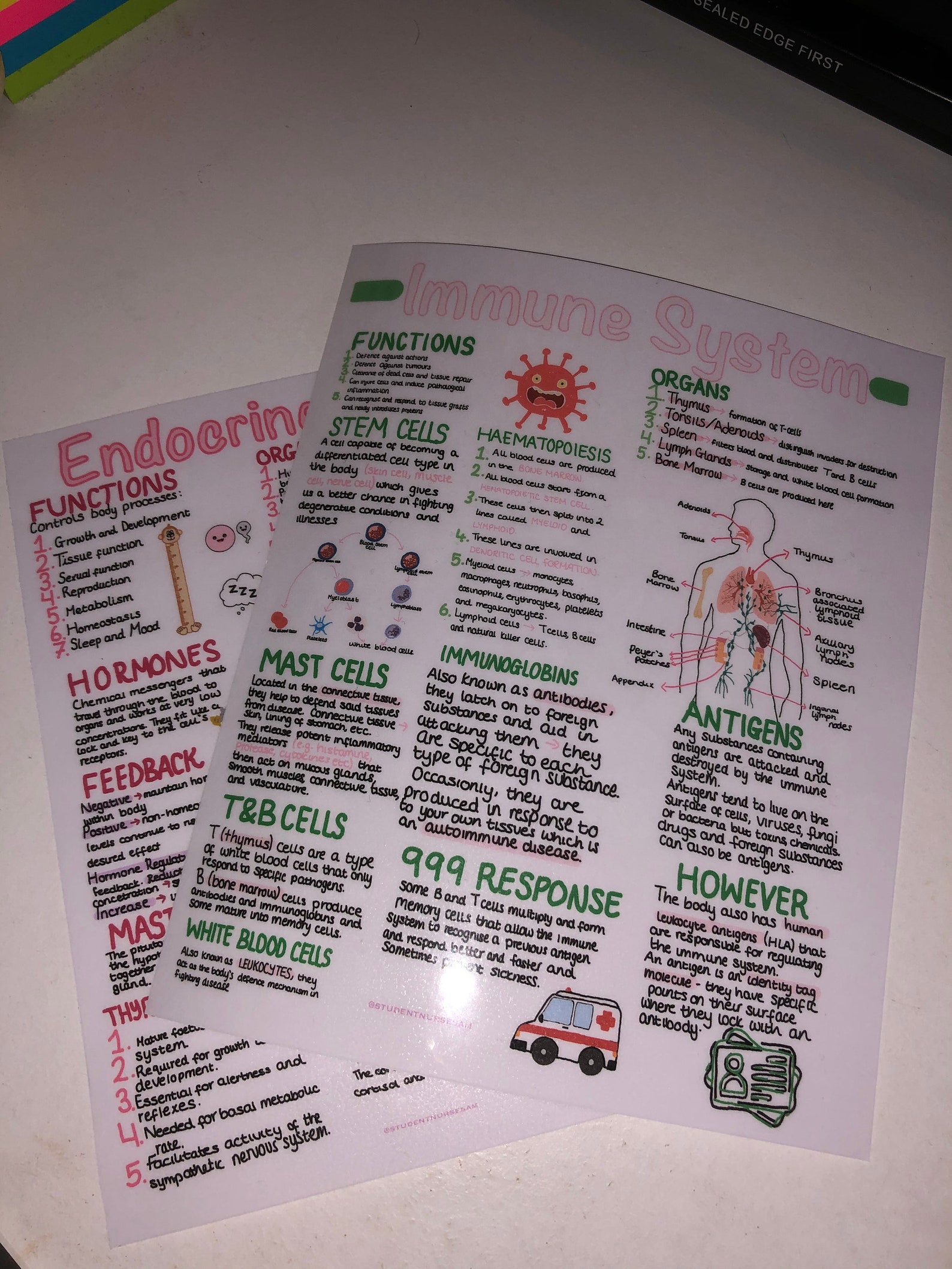 Immune System Revision Poster - Etsy