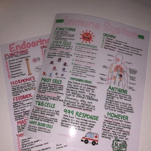 Immune System Revision Poster - Etsy