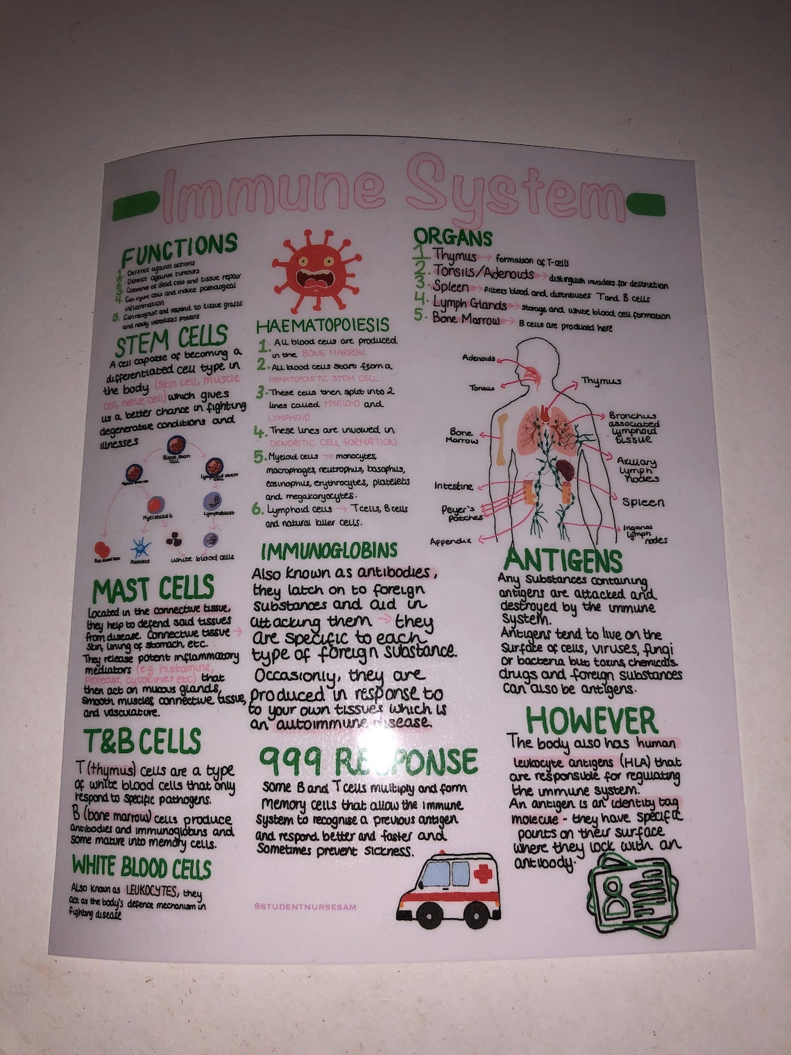 Immune System Revision Poster - Etsy