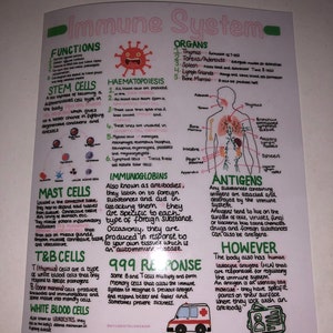 Immune System Revision Poster - Etsy