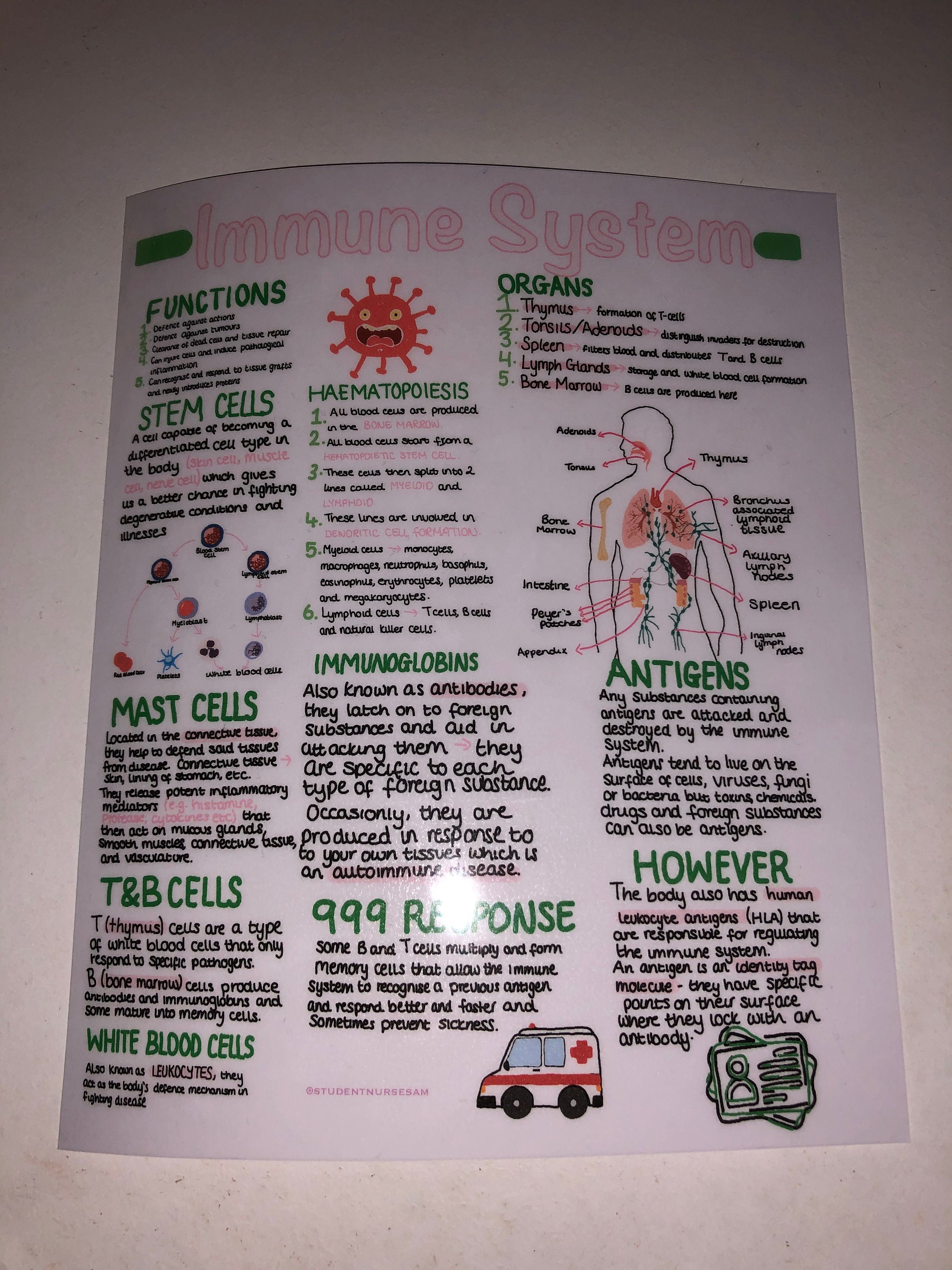 Immune System Poster