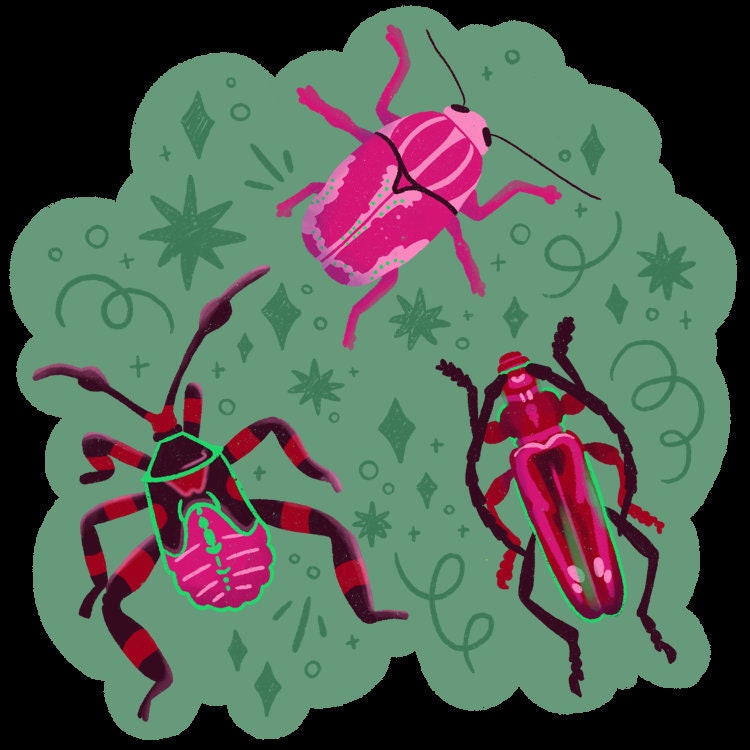 Cute Pink Green Bugs Beetles Large Die Cut Sticker Vinyl | Etsy