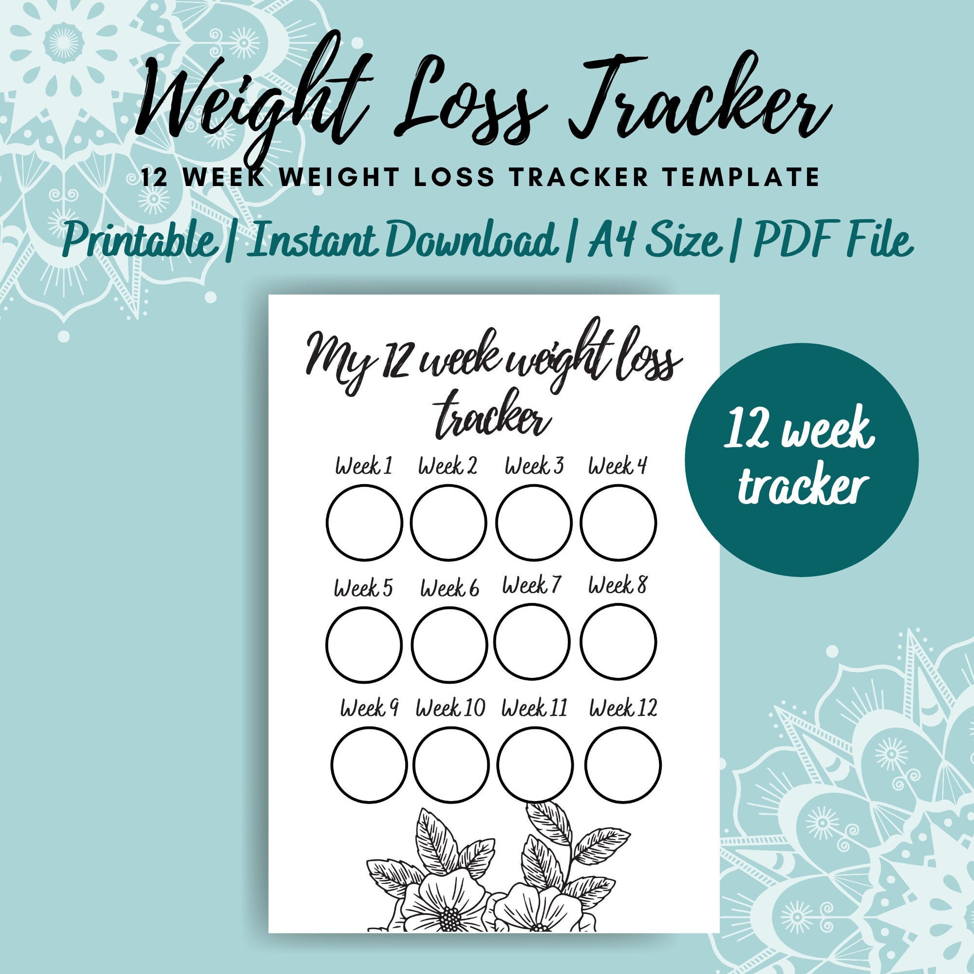 slimming-world-and-weight-watchers-tracker-a4-pdf-weight-loss-weight