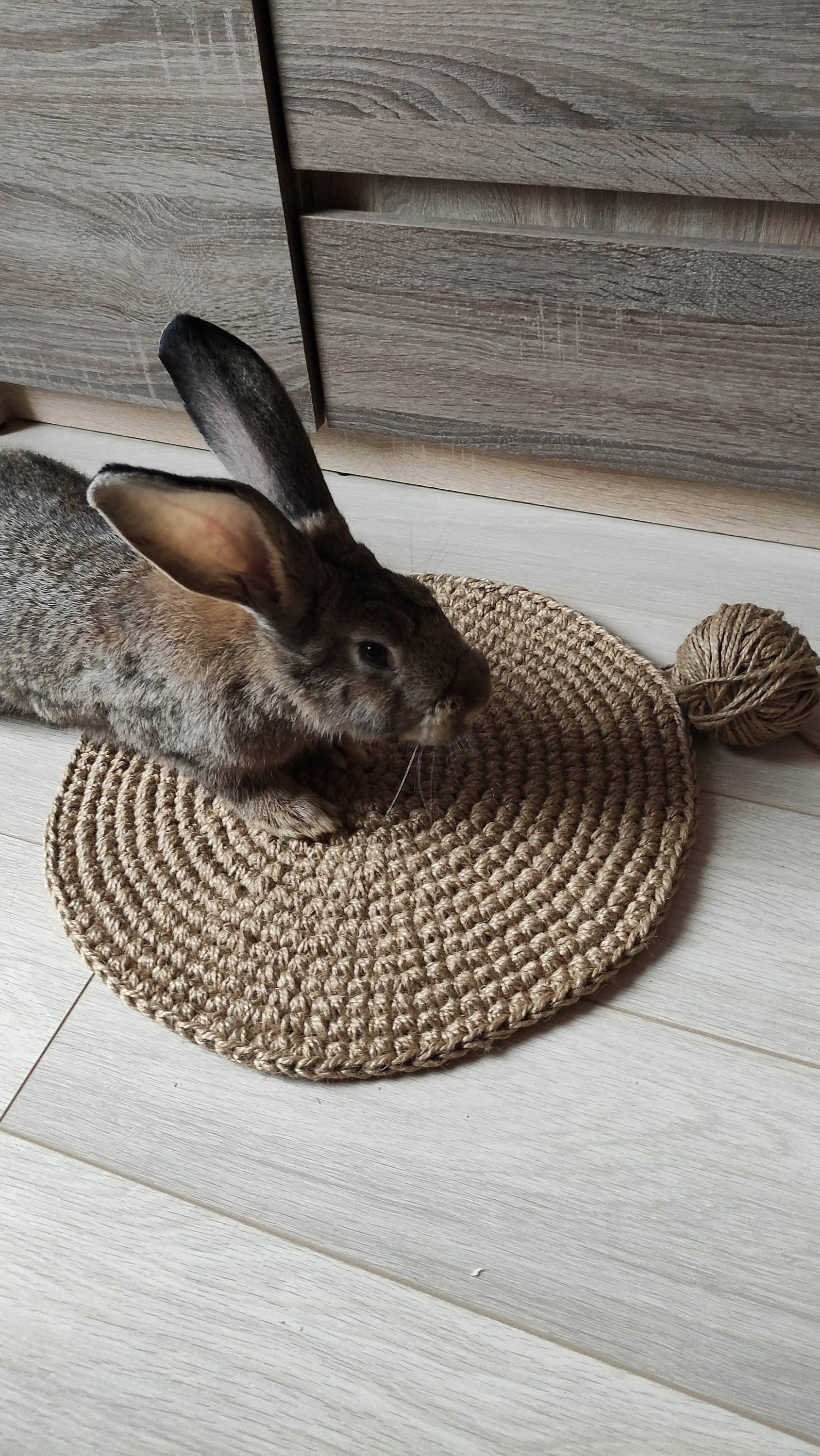 Small Round Jute Rug Crocheted, Handmade Carpet, Outdoor Rug for Patio ...