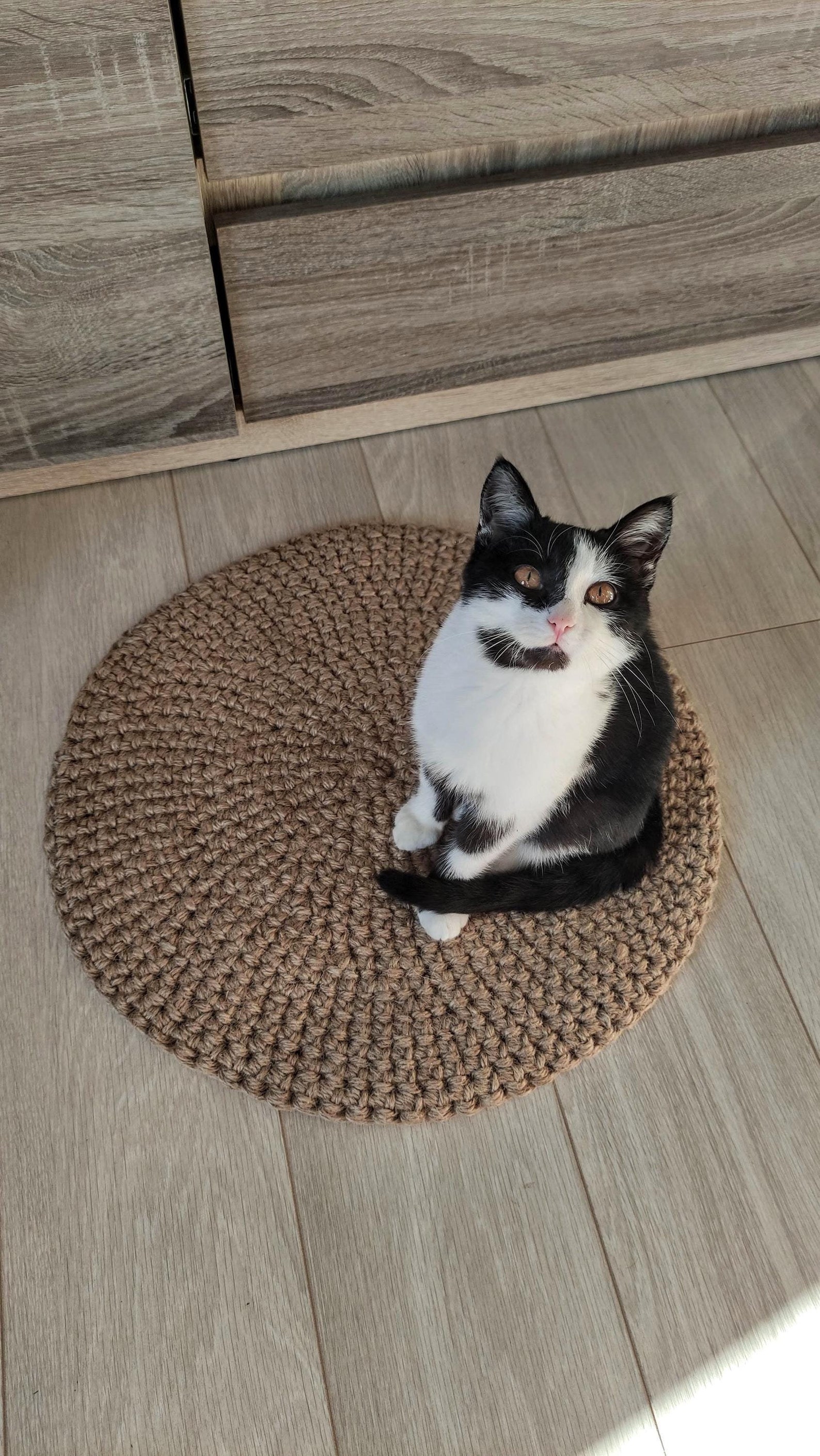 Small Round Jute Crochet Rug. Bathroom Mat. Handmade Pet Bedding. Rope ...
