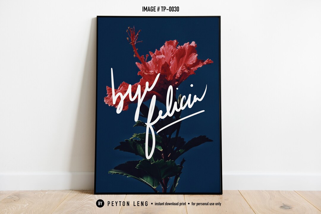 Bye Felicia Print, Printable Art, Office Decor, Office Wall Art, Funny ...