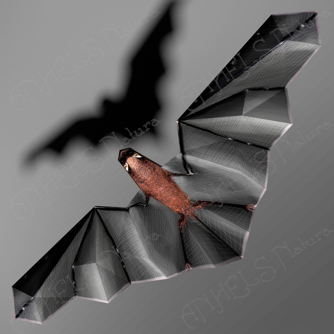 Cave Bat (miniopterus Schreibersii) 3D Papercraft Cutout in Pdf. - Etsy