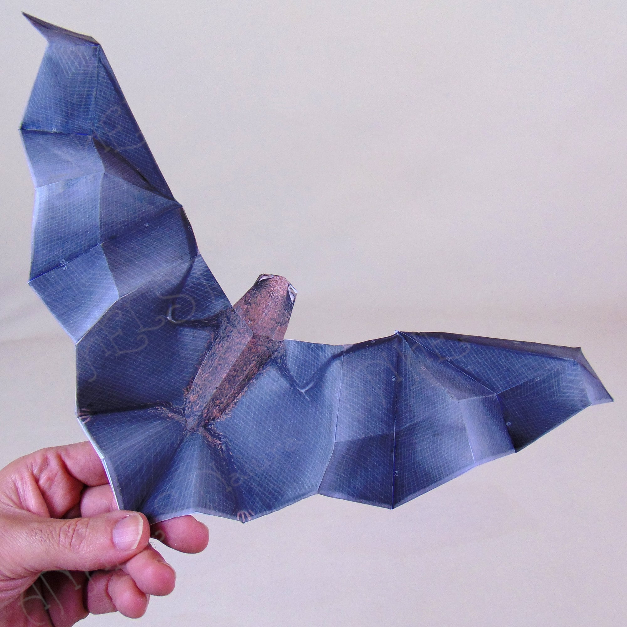 Cave Bat (miniopterus Schreibersii) 3D Papercraft Cutout in Pdf. - Etsy