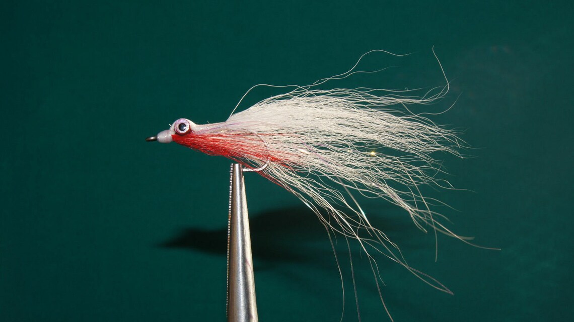 Saltwater Minnow Fly Fishing Flies Assortment - 18 Qty - Etsy