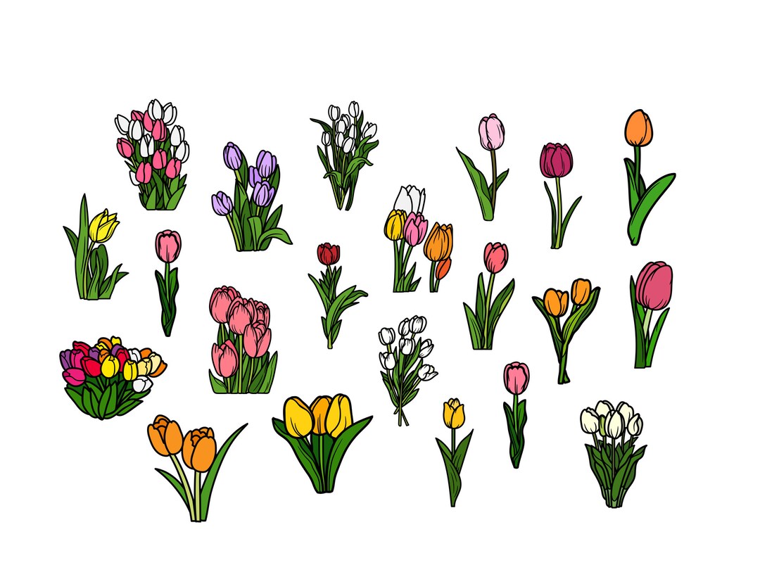 Tulip Tulip Bundle Flowers Flowers SVG Download File Plotter File Plotter Cricut Summer Spring ...