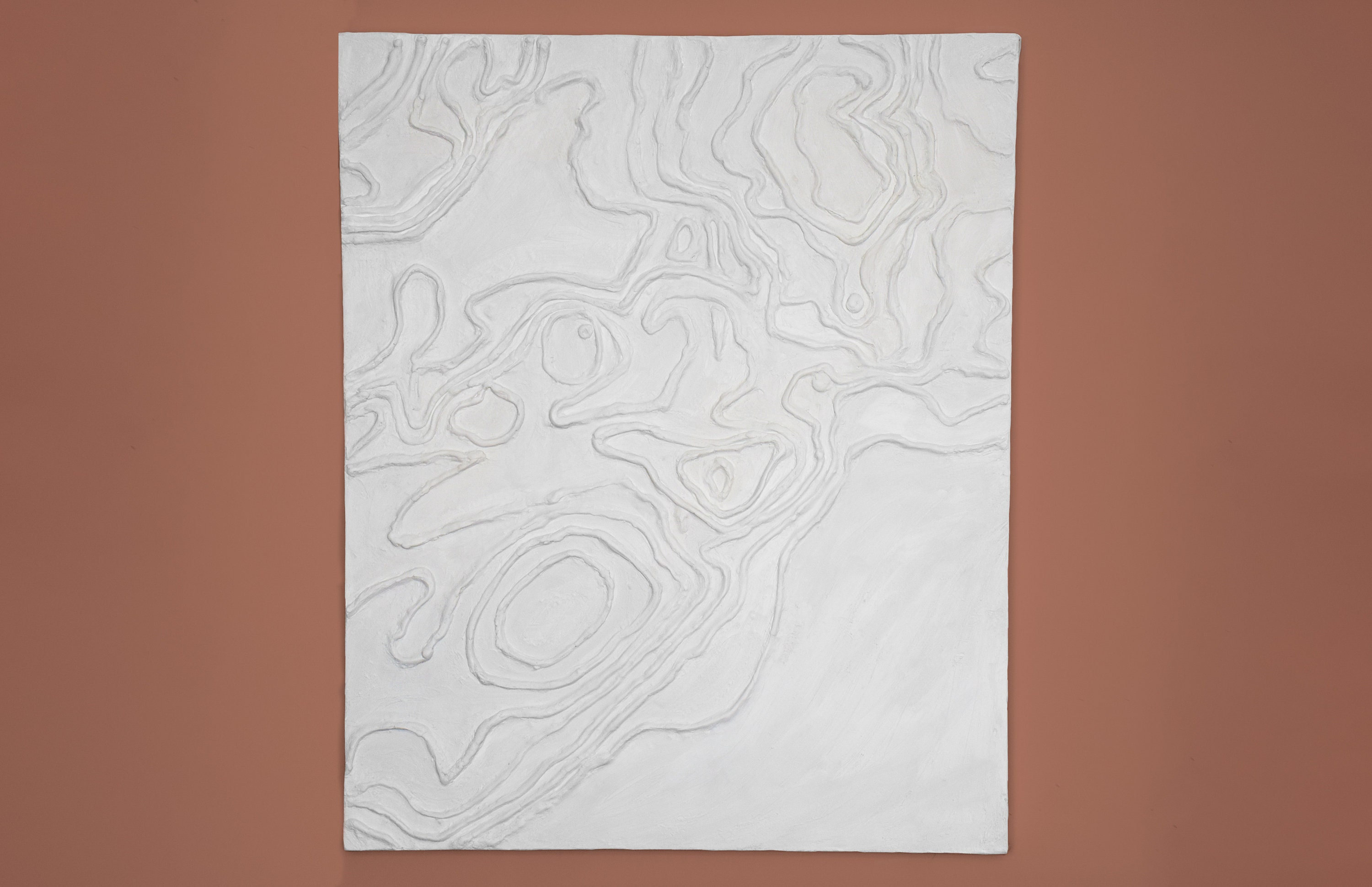 Contour Art Personalised Contour Map Lines 3D Painted & - Etsy