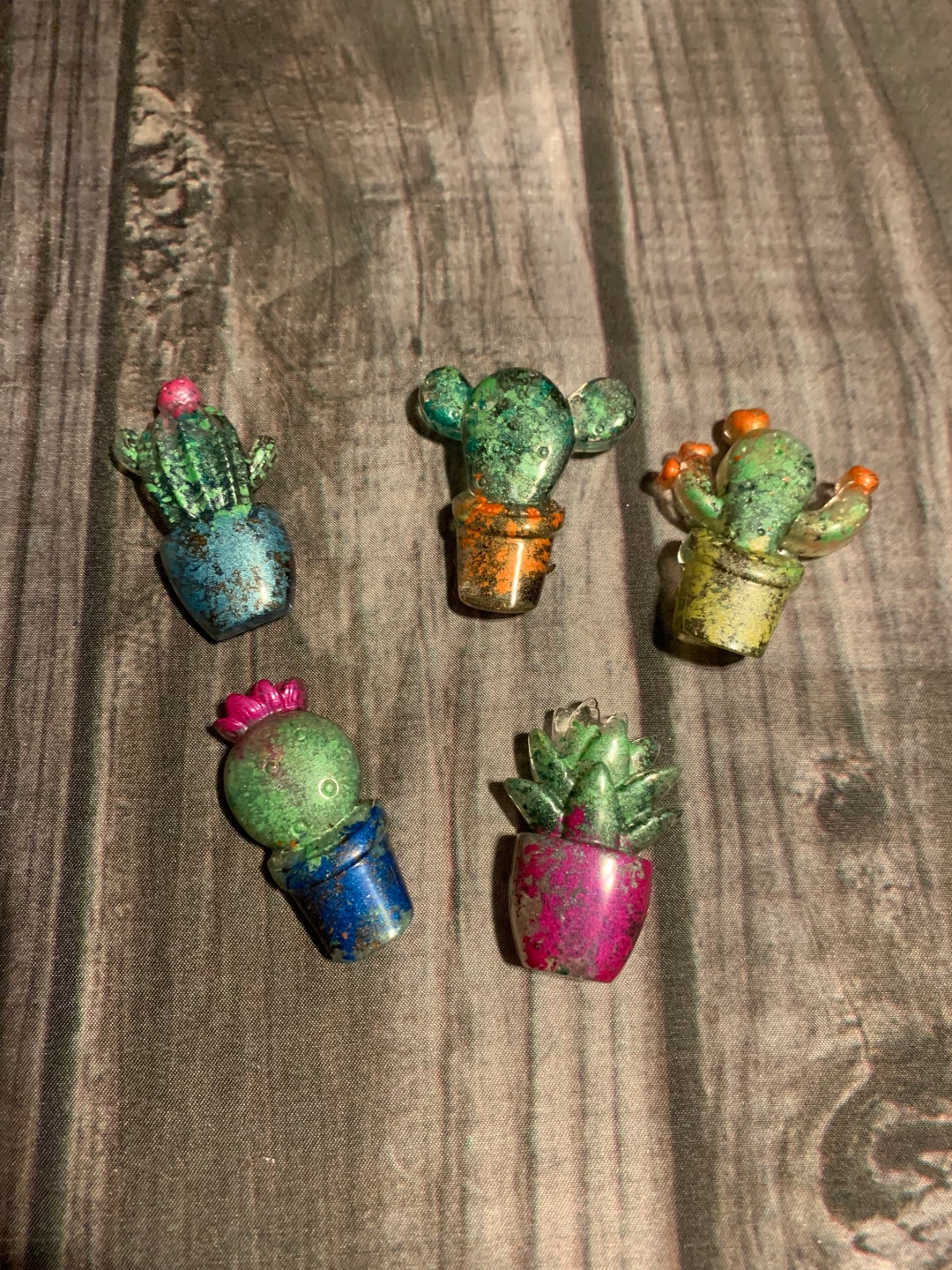 Cactus Resin Magnets | One of a Kind | Plant Magnets | Gift for All ...