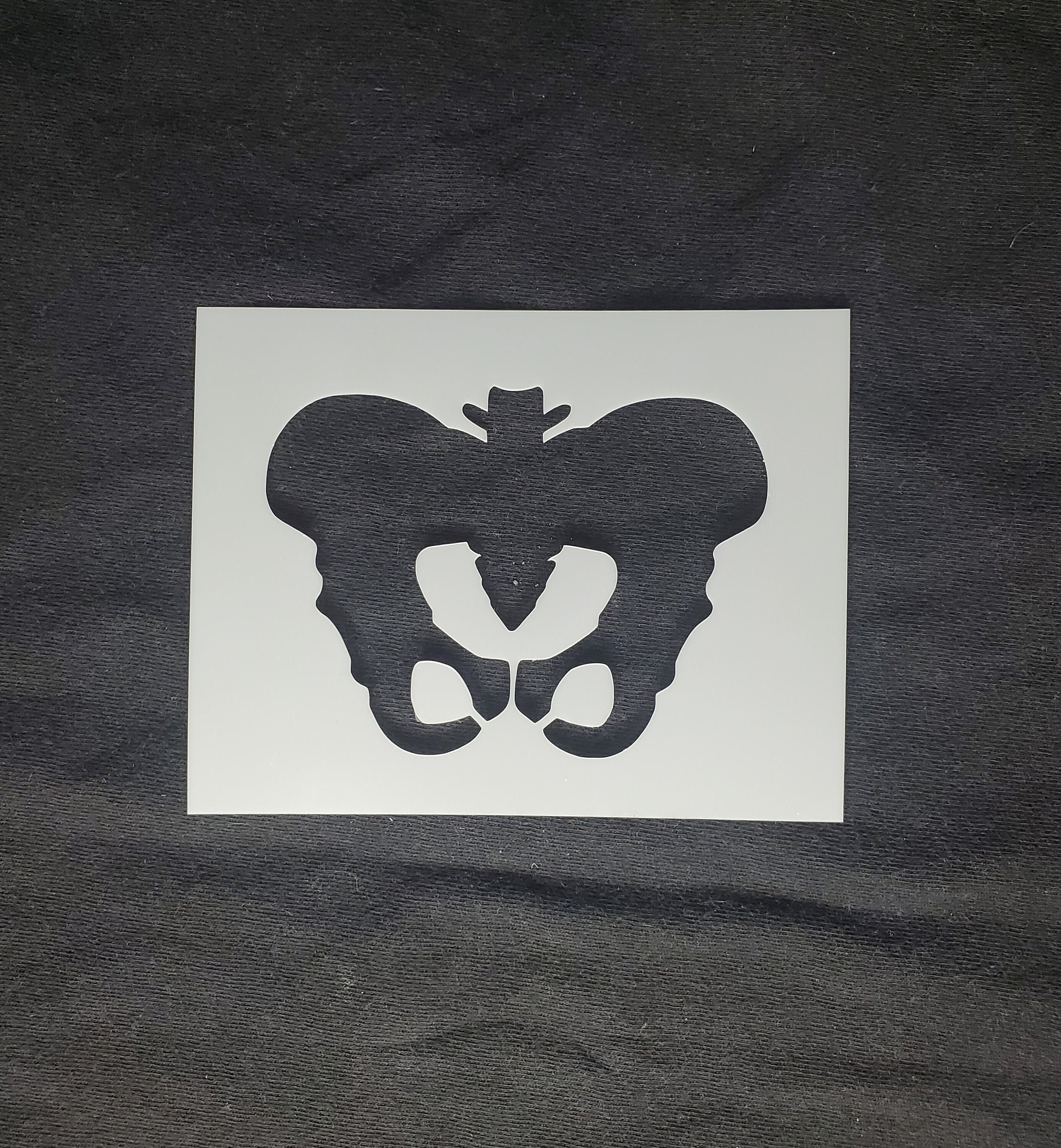 Tipos De Pelvis