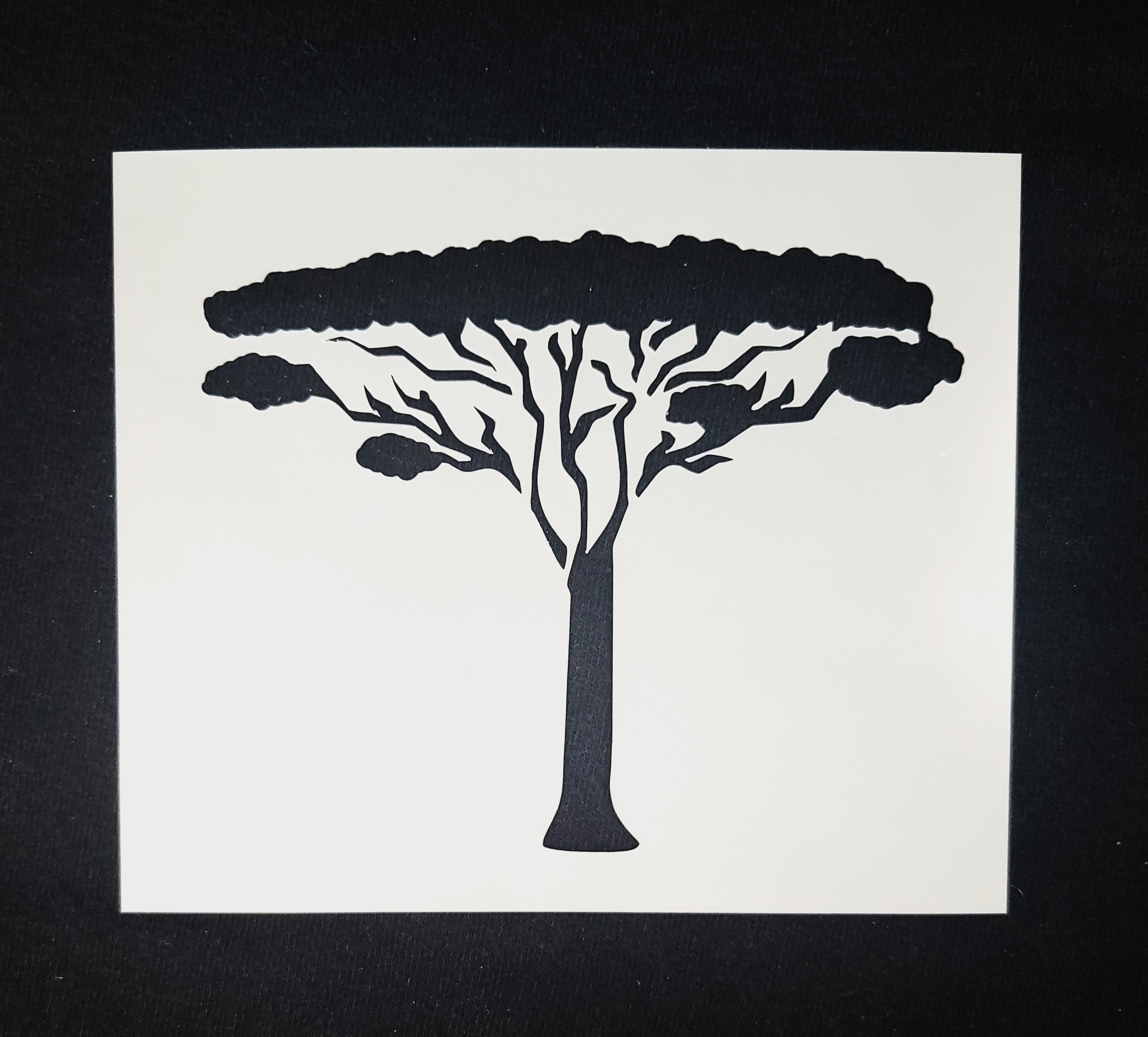 Acacia Tree Drawing