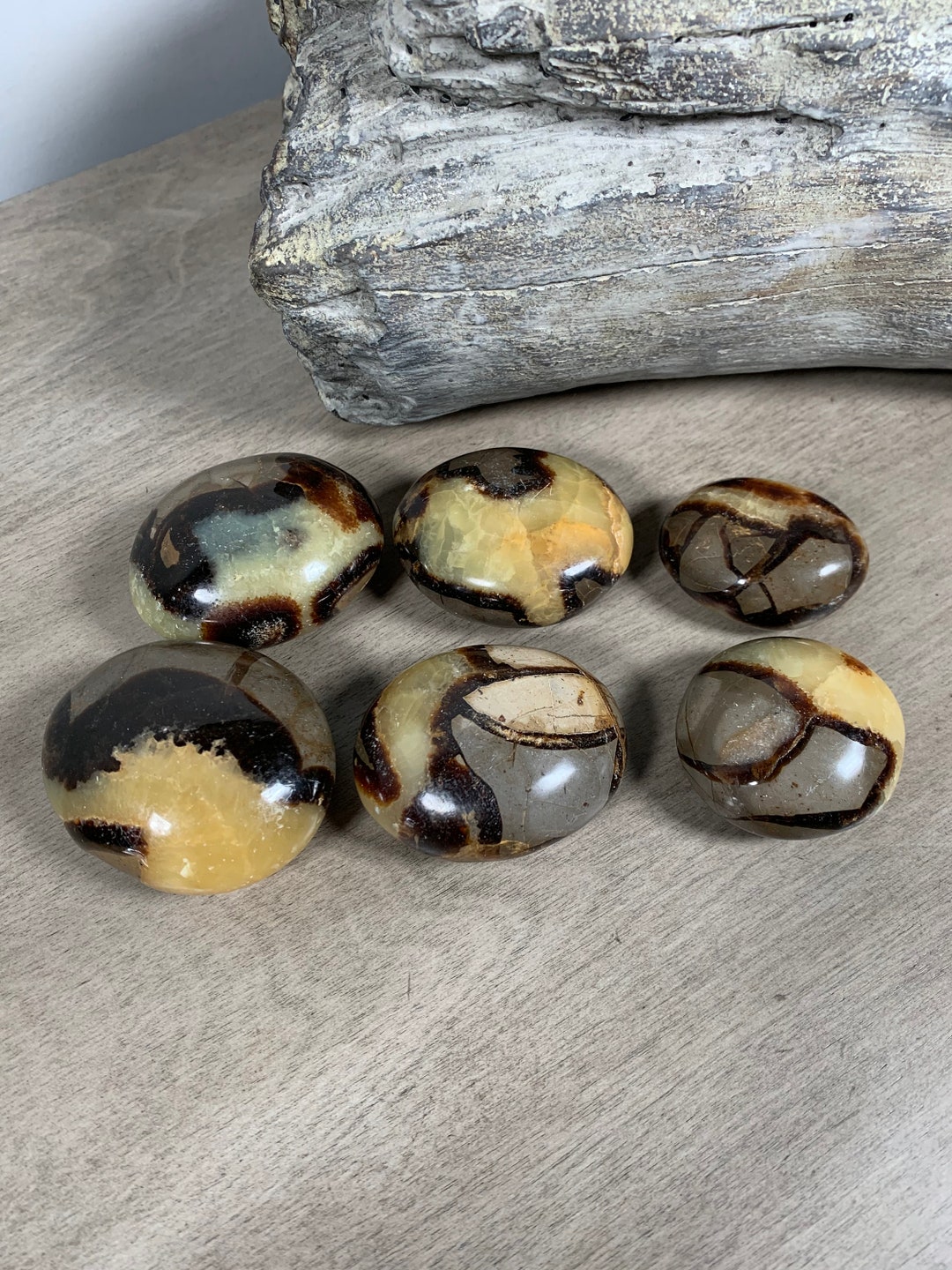 Septarian Palms Septarian Stone Dragon Stone Palm Stone Worry Stone - Etsy