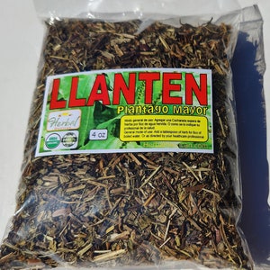 Llanten Hierba Te, Yanten, Plantago Mayor, Plantein, Great Plantein ...