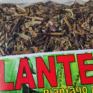 Llanten Hierba Te, Yanten, Plantago Mayor, Plantein, Great Plantein ...