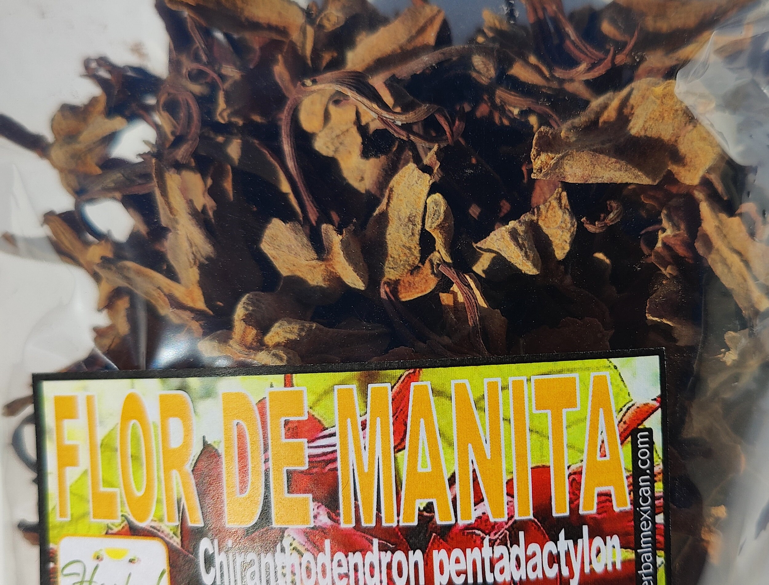 Flor De Manita, Flor Manita,chiranthodendron Pentadactylon, Mexican ...