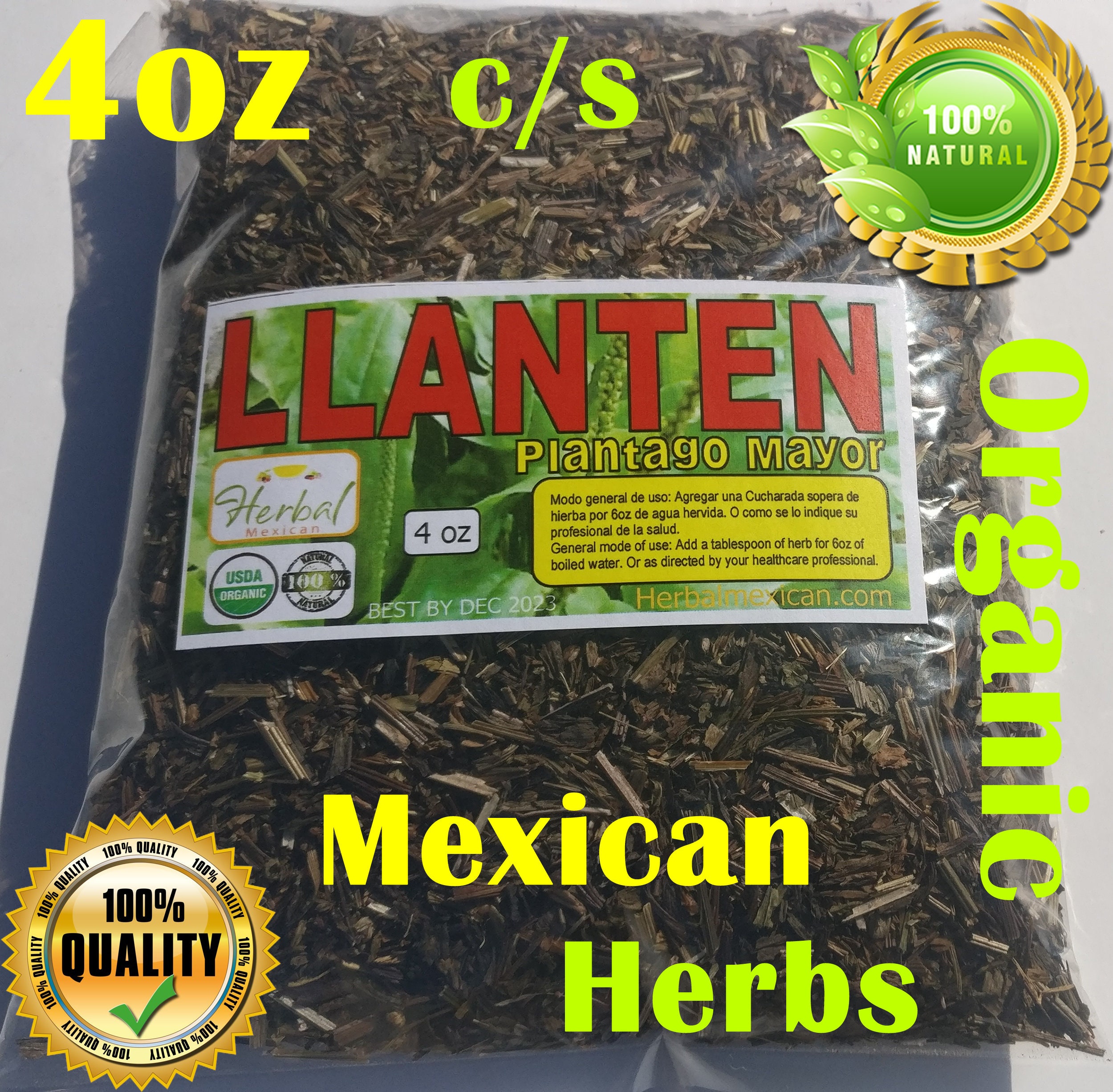 Llanten Hierba Te Yanten Plantago Mayor Plantein Great - Etsy