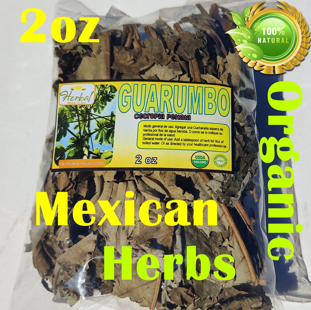 Guarumo Hierba Te, Guarumbo, Yagrumo, Yarumo, Chancarro, Cecropia ...