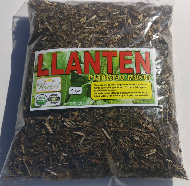 Llanten Hierba Te, Yanten, Plantago Mayor, Plantein, Great Plantein ...