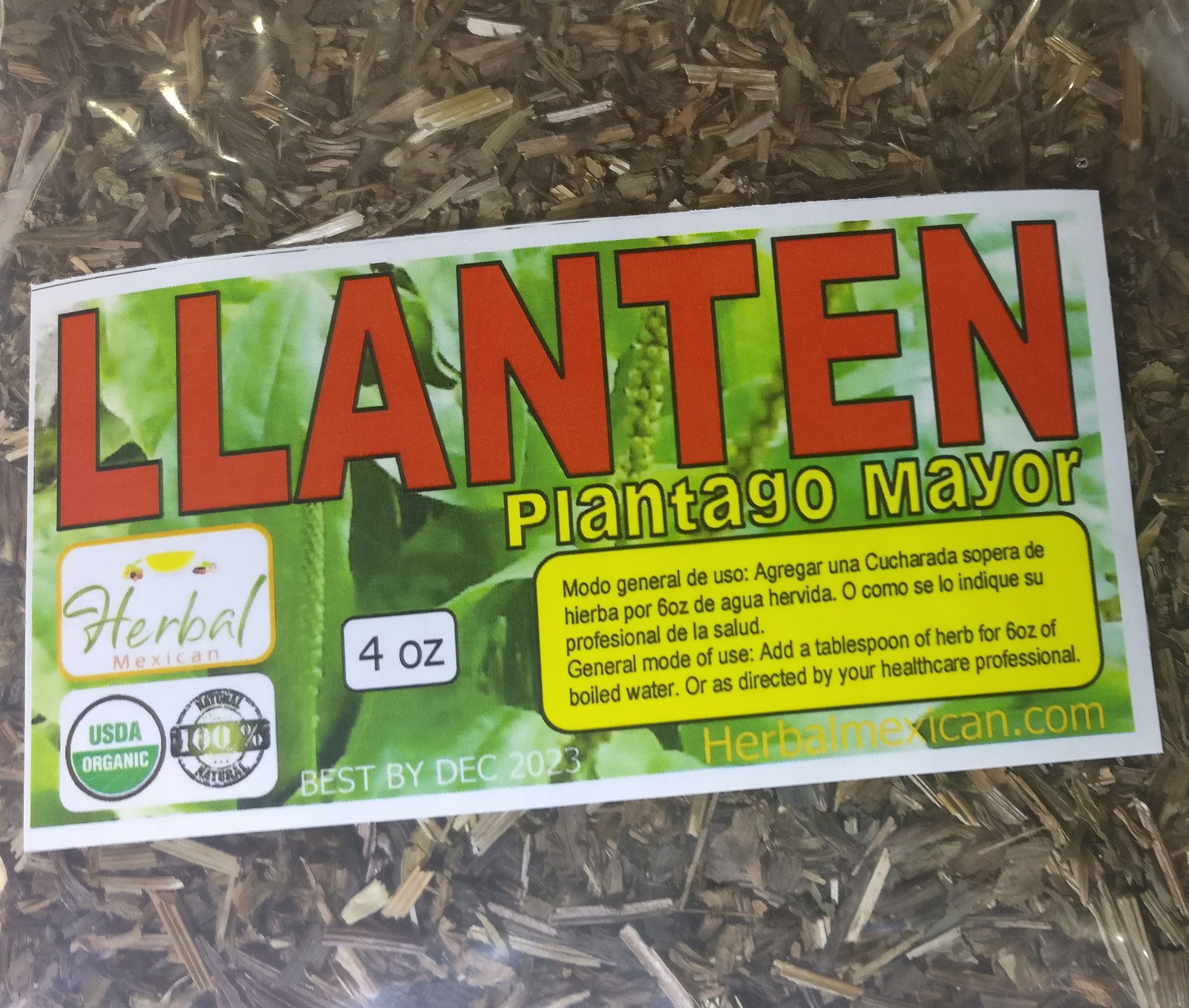 Llanten Hierba Te Yanten Plantago Mayor Plantein Great - Etsy