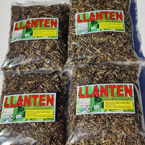 Llanten Hierba Te, Yanten, Plantago Mayor, Plantein, Great Plantein ...