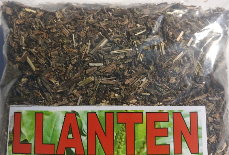 Llanten Hierba Te Yanten Plantago Mayor Plantein Great - Etsy
